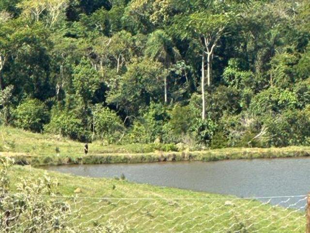 Lotes à venda em Itupeva SP no Bairro Chácaras do Guacuri Lotes de 20.000m²