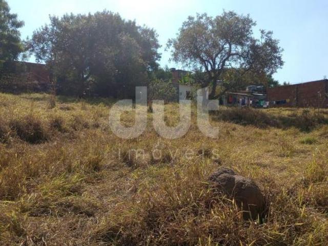 Lotes a venda Satelite Ires Campinas