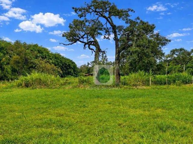 Lotes à venda, 250 m² a partir de R$ 220.000 Centro São Bento do Sapucaí/SP