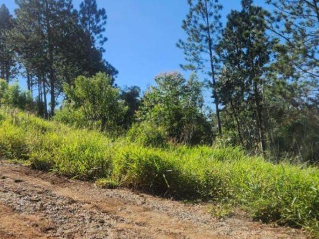 Lotes Amplos de 500 m² em Ibiúna
