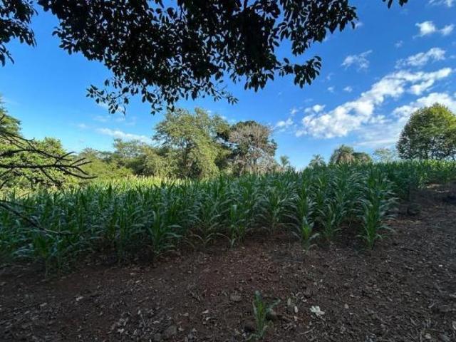 Lotes Com Ótima Metragem Em Dois Irmãos