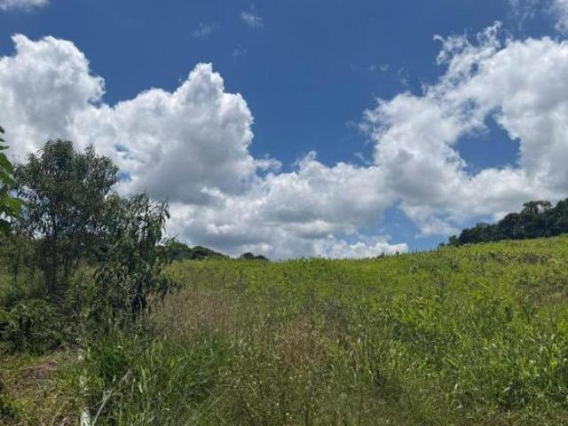 Lotes de 500 m² e 1.000 m² em área nobre de Ibiúna