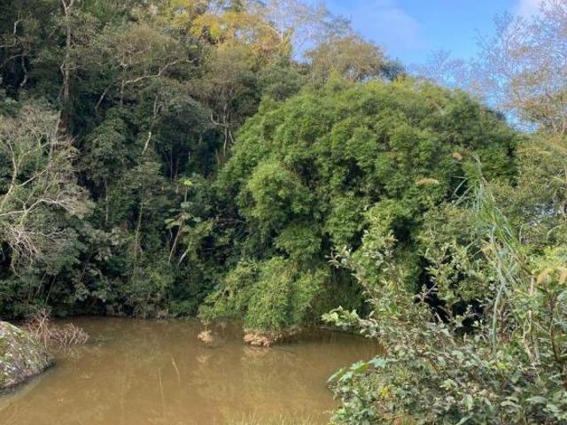 Lotes de 500m², prontos para construir, em uma região cercada pela natureza e com excelente acesso