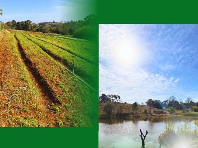 Lotes de 600 metros em Caucaia do Alto / Ibiúna a partir de R$35 mil
