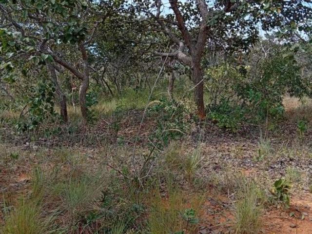 Lotes de 1.000 metros a venda na região da Serra do Cipo