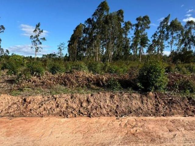 Lotes de 1.000m² com Forte Valorização no Interior