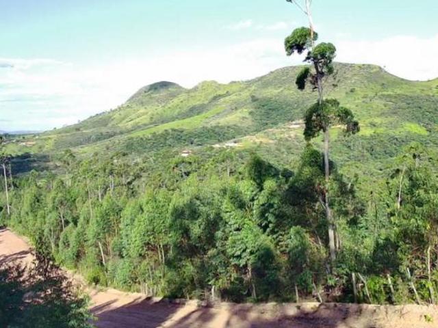 LOTES DE 1.000m² COM VISTA PARA O MORRO DO SABÓ