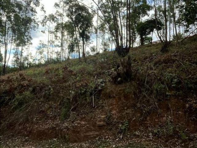 LOTES DE 1.000M² EM MAIRINQUE: OPORTUNIDADE PARA ENTRAR EM UM PROJETO JÁ DEFINIDO