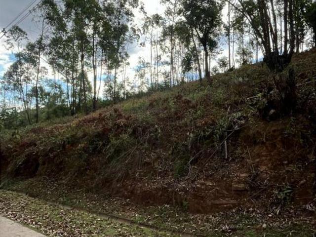 LOTES DE 1.000M² EM MAIRINQUE: PARA QUEM SABE IDENTIFICAR BOAS OPORTUNIDADES