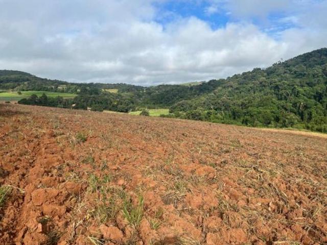 Lotes e terrenos ideal para sua casa de campo