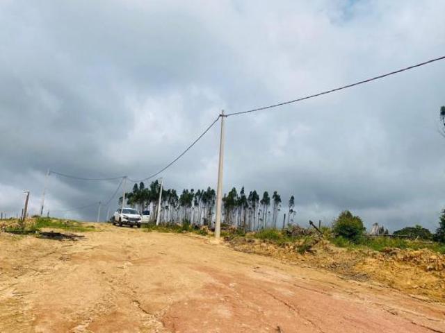 Lotes em bairro de chácaras de 1000² Já liberado para construir