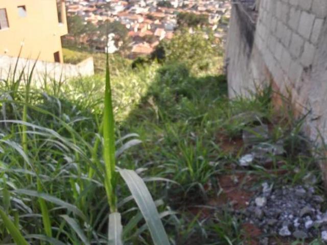 lotes na várzea, Paulista de 460 metros