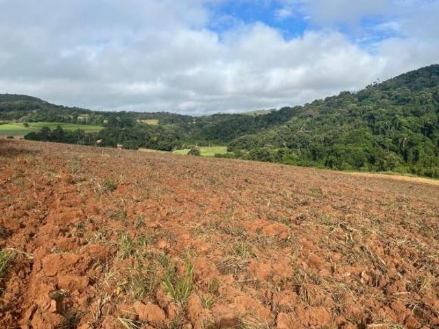 Lotes na cidade de Ibiúna SP