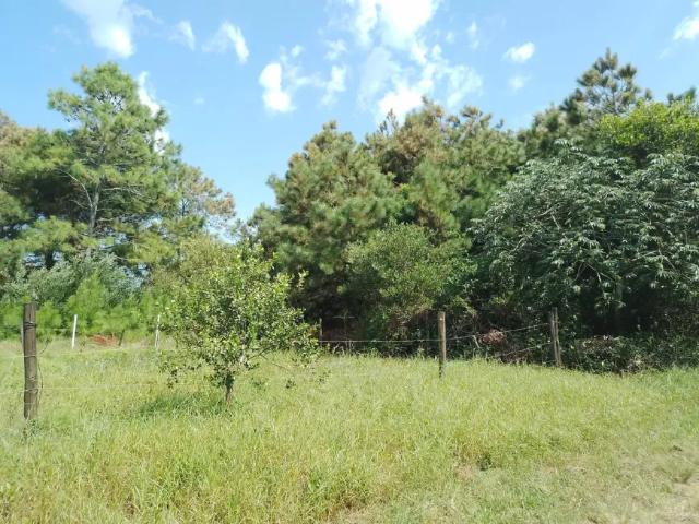 Lotes no Litoral 300m² cada Balneário Atlântico Arroio do Sal/RS