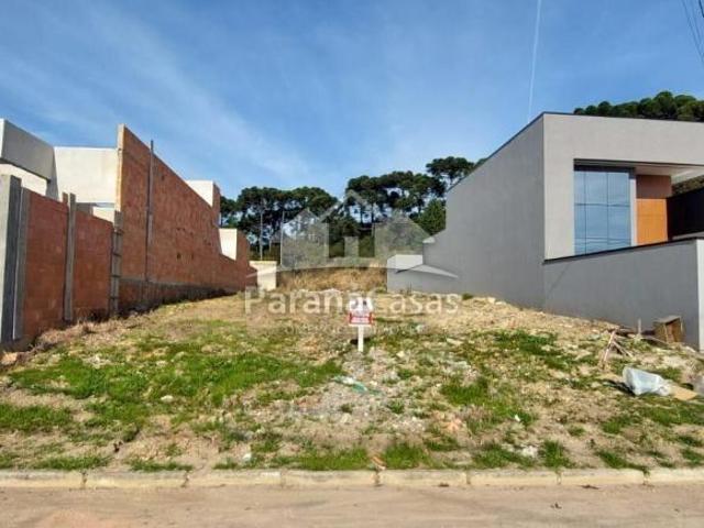 Lotes no Rio Pequeno SJP