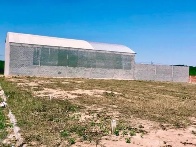 Lotes para galpão próximo à BR 116