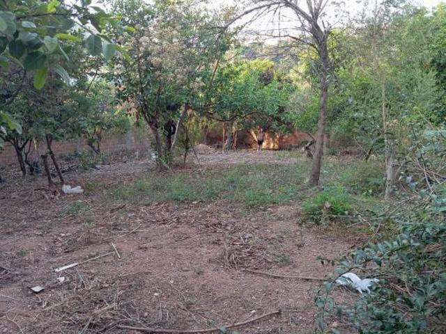 Lote/Terreno 432m2, Milionários/Bonsucesso Barreiro Belo Horizonte MG