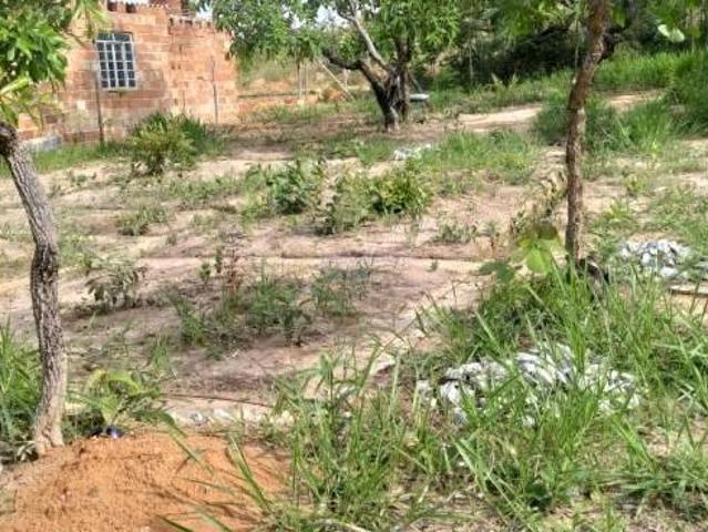 LOTE/TERRENO