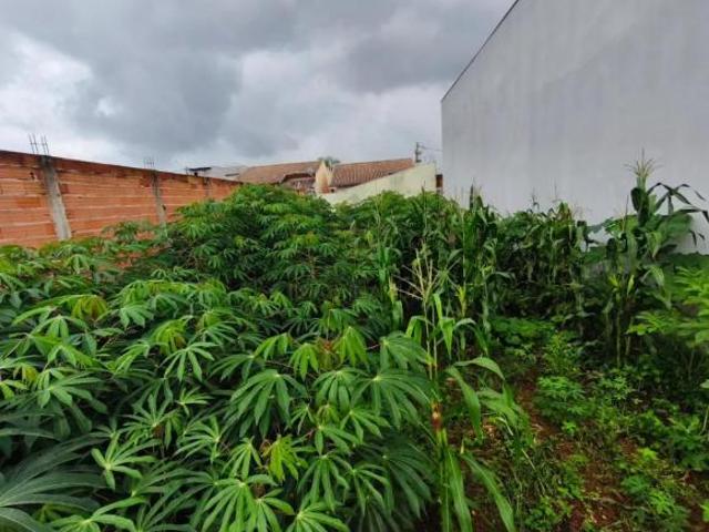 Lote/Terreno à venda com 160 m² no bairro Parque das Oliveiras Ribeirão Preto/SP