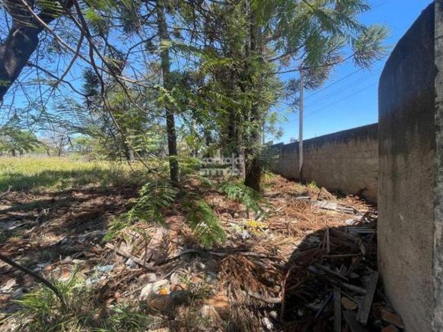 Lote/Terreno à Venda, Jardim Vera Cruz Sorocaba