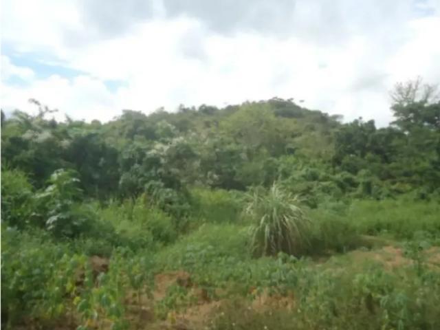 Lote/Terreno à Venda por R$ 320.000