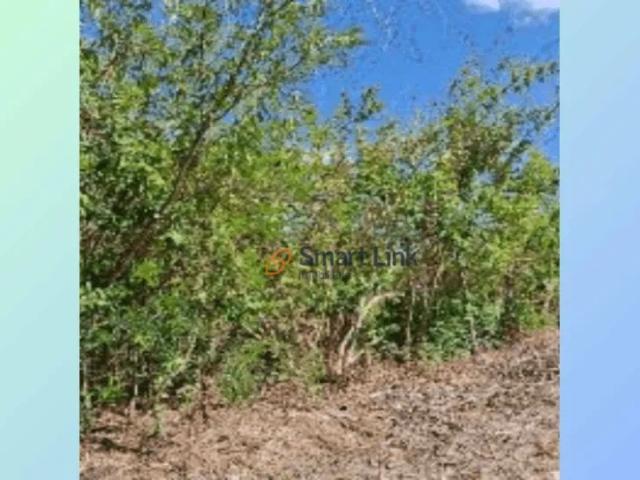 Lote/Terreno à Venda, 16432 m² por R$ 368.016