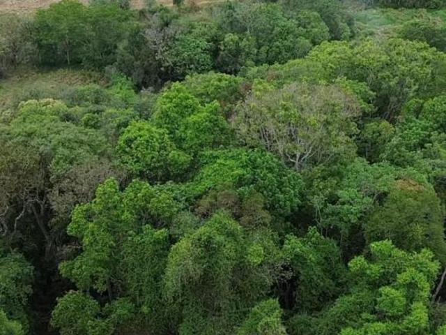 Lote/Terreno à Venda, 12.000 m² por R$ 650.000 Cód. ch1838