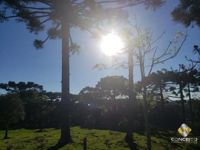 Lote/Terreno à Venda, 20000 m² por R$ 350.000