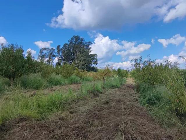 Lote/Terreno à Venda, 20000 m² por R$ 380.000
