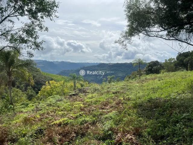 Lote/Terreno à Venda, 23567 m² por R$ 470.000
