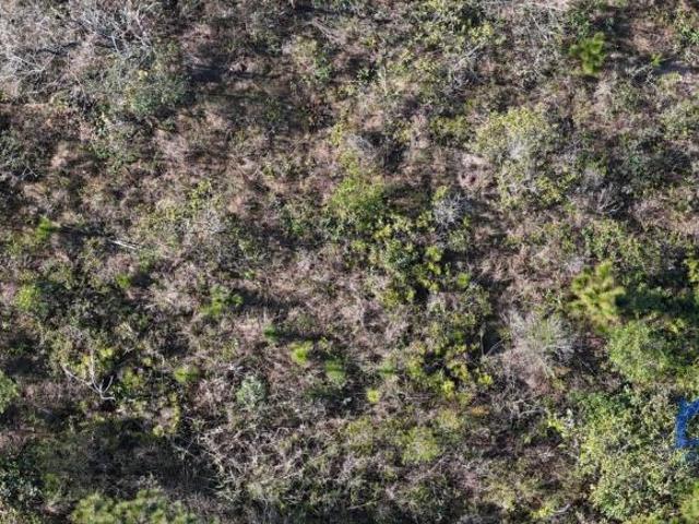Lote/Terreno à Venda, 3.450 m² por R$ 650.000 Cód. ps302