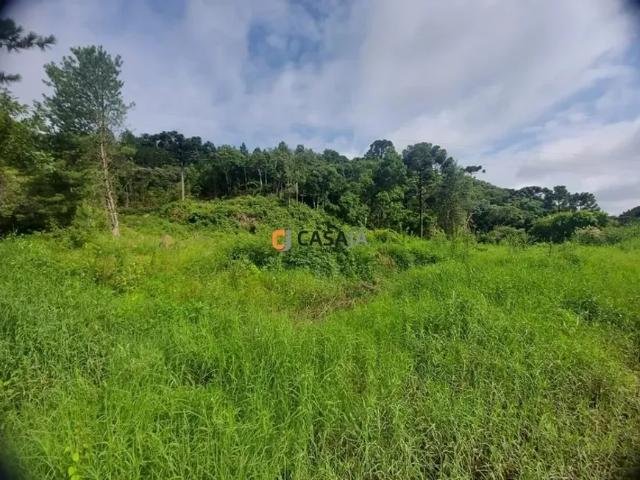 Lote/Terreno à Venda, 555 m² por R$ 997.000