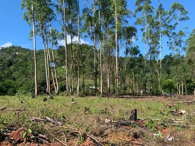 Lote/Terreno à Venda, 500 m² por R$ 115.000