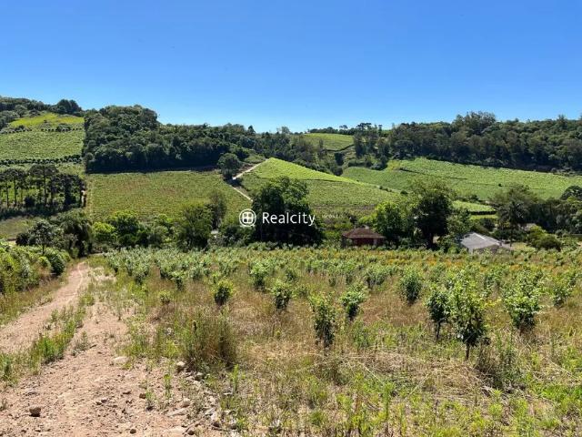 Lote/Terreno à Venda, 52000 m² por R$ 1.690.741