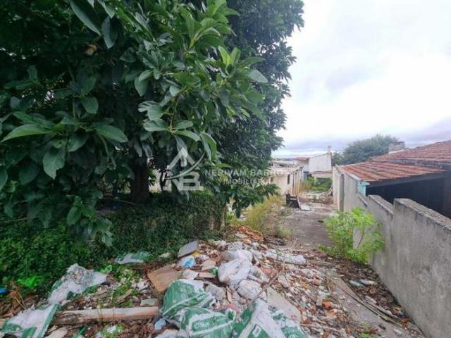 Lote/Terreno, Bairro Alto Curitiba