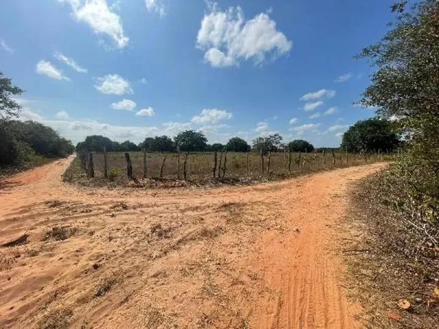 Lote/Terreno com 1 Quarto e 1 banheiro à Venda, 5346 m² por R$ 208.000