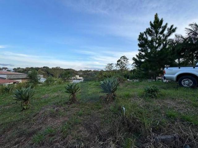 Lote/Terreno, Ipelândia Suzano