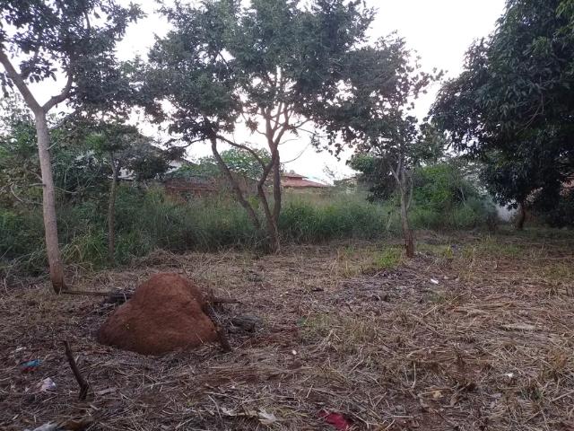 Lote/Terreno para venda com 600 metros quadrados em Das Indústrias Senador Canedo GO