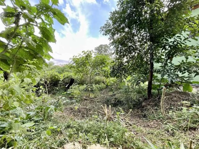 Lote/Terreno para venda com 907 metros quadrados em Vila Santo Antônio Cotia SP
