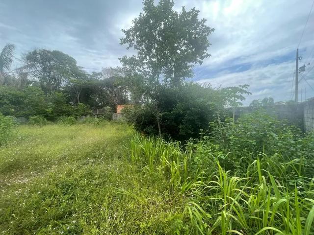 Lote/Terreno para venda possui 500 metros quadrados em Cacau Pirera Iranduba AM