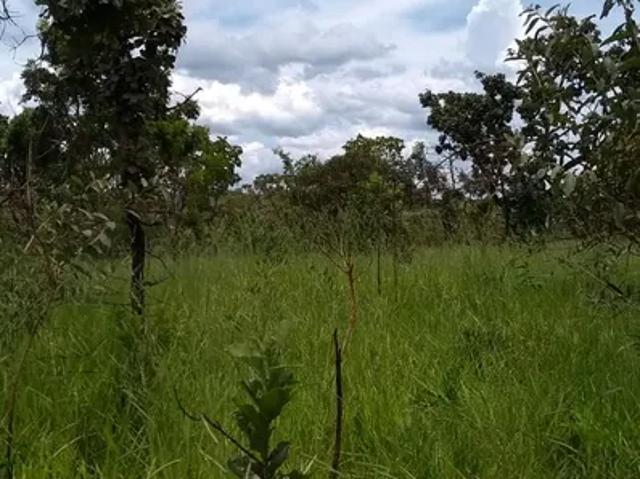 Lote/Terreno para venda possui 1000 metros quadrados