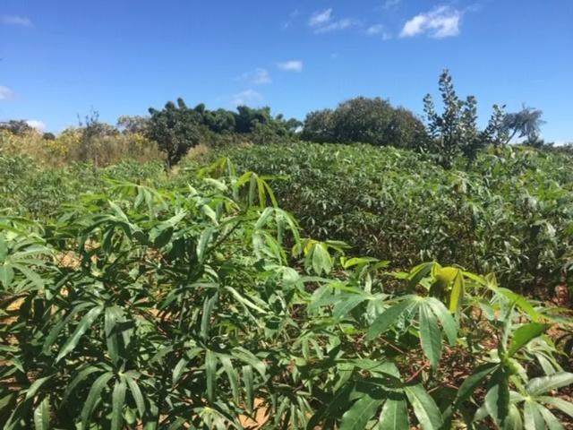 Lote/Terreno para venda possui 375 metros quadrados em Area Rural de Sao Sebastiao Brasília DF