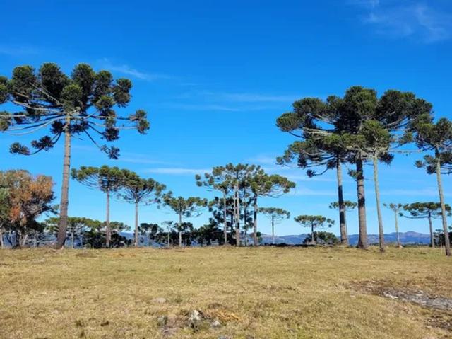 Lote/Terreno/Chácara à venda em Urubici/SC