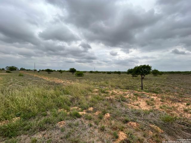 Lots21 22&30 31 County Road 1629 Hillcounty, Moore, TX 78057 | MLS #1860