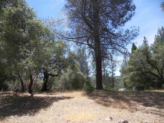 4 211A Point View Dr