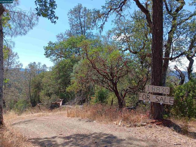 Lots and Land: MLS #41127