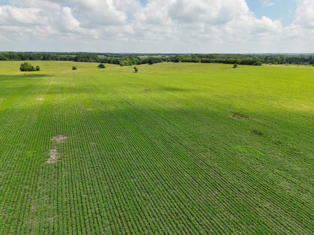 Lots and Land: MLS #46702