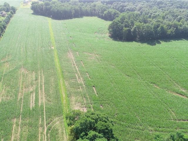 Lots and Land: MLS #5224