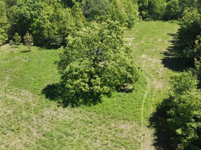 Lots and Land: MLS #60322