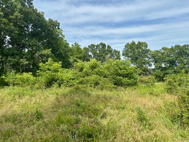 Lots and Land: MLS #60327